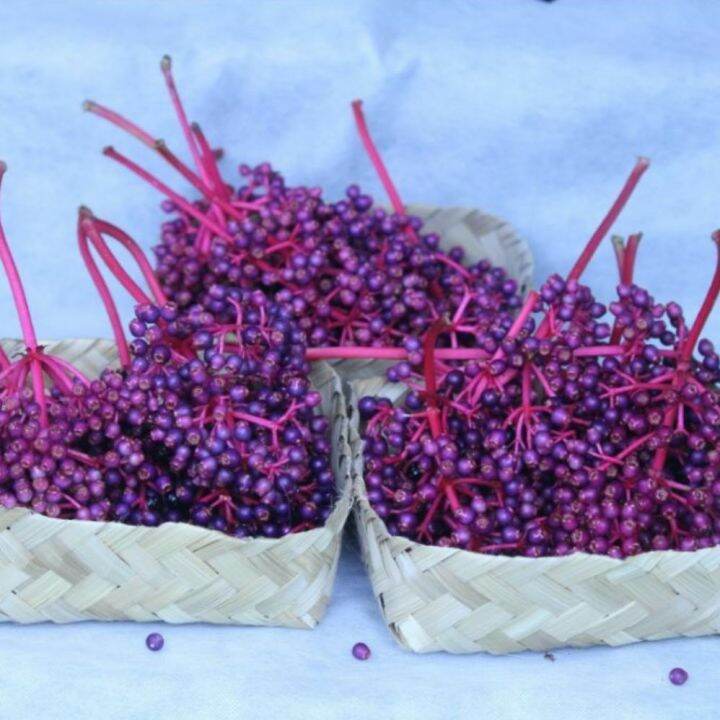 BUAH PARIJOTO SEGAR 100 gram - 500 gram | Lazada Indonesia