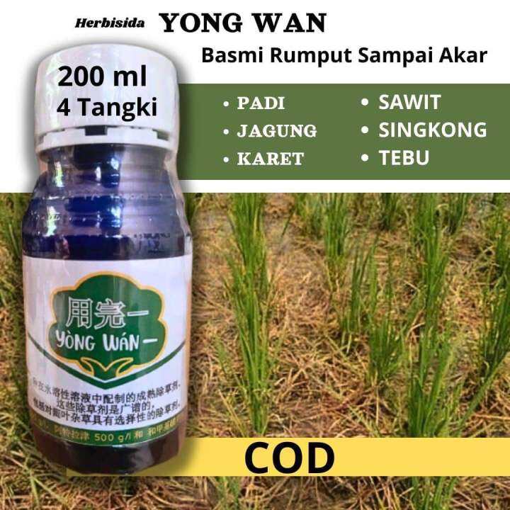 Yong Wan Herbisida Sistemik Selektif Pembasmi Rumput Tanaman Padi Jagung Karet Tebu Teh Isi 250 ...