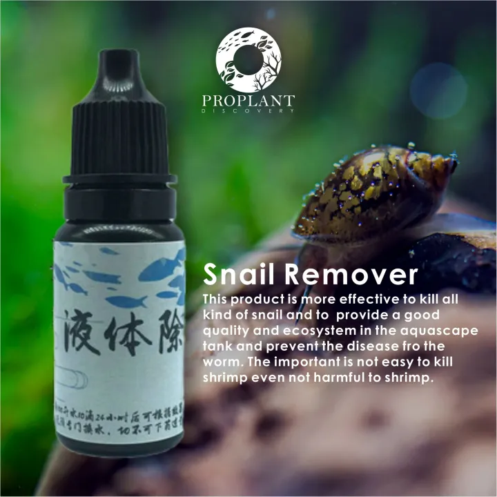 Snail Remover - Shrimp Safe / Aquascape / Channa Tank / Shrimp Tank ...