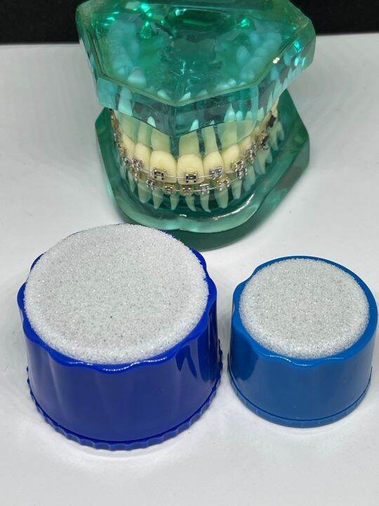 Endo clean box BIG | Lazada PH