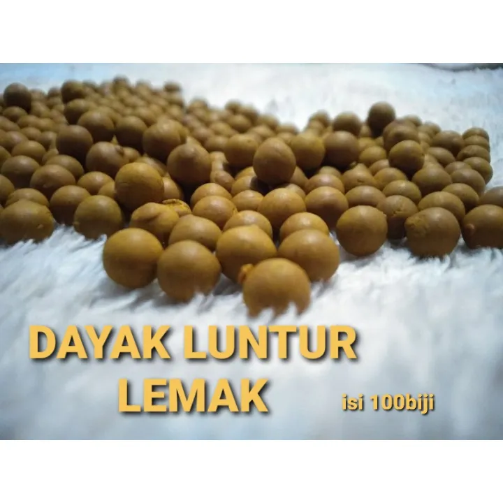 PELUNTUR LEMAK ASLI DAYAK isi 100butir | Lazada Indonesia