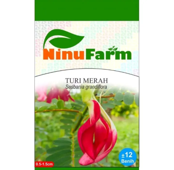 Benih TURI MERAH / BUNGA TURI MERAH | Lazada Indonesia