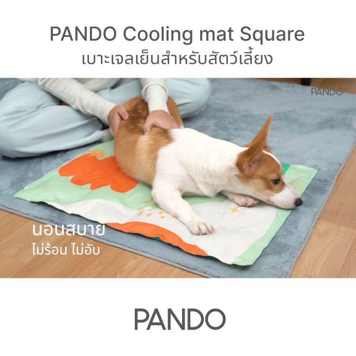 [สินค้าใหม่] PANDO Pet Cooling Mat แพนโด้ เบาะเจลเย็นสำหรับสัตว์เลี้ยง ...