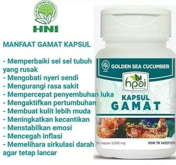 GAMAT KAPSUL GOLDEN SEA CUCUMBER MEREDAKAN NYERI SENDI HNI HPAI ...