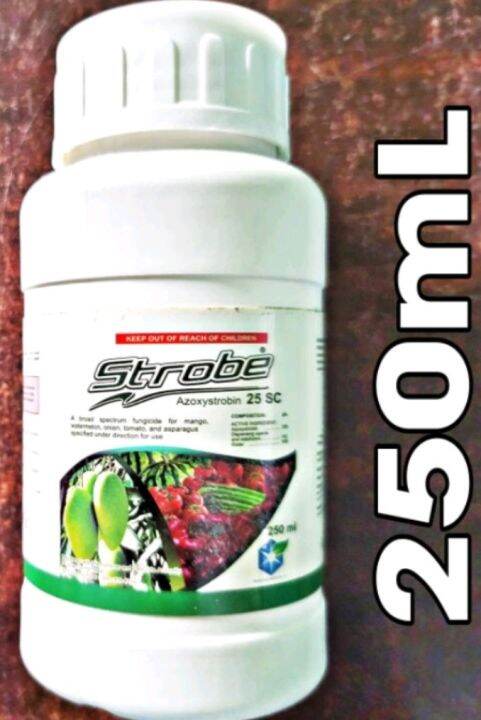 STROBE 25 SC AZOXYSTROBIN FUNGICIDE (250ML) SINOCHEM | Lazada PH