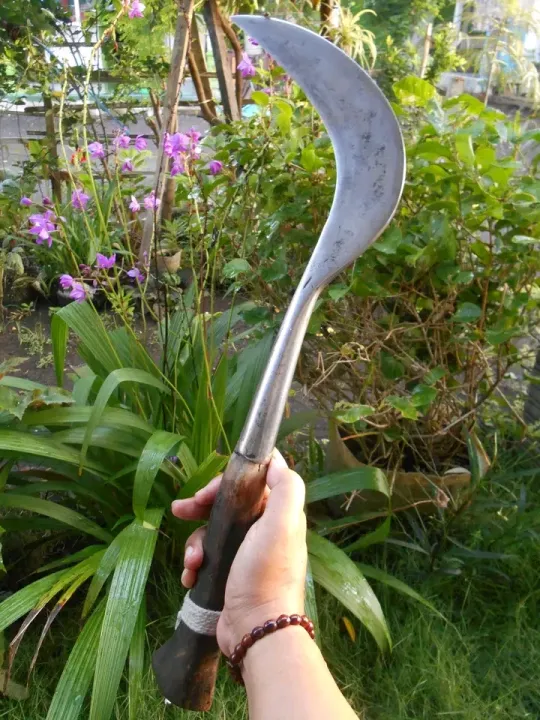 Arit ringan khas Madura Asli Baja | Lazada Indonesia