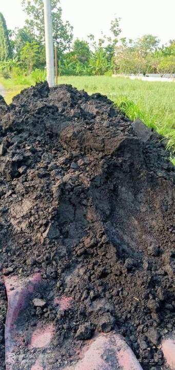 media tanam organik blotong limbah pabrik gula | Lazada Indonesia