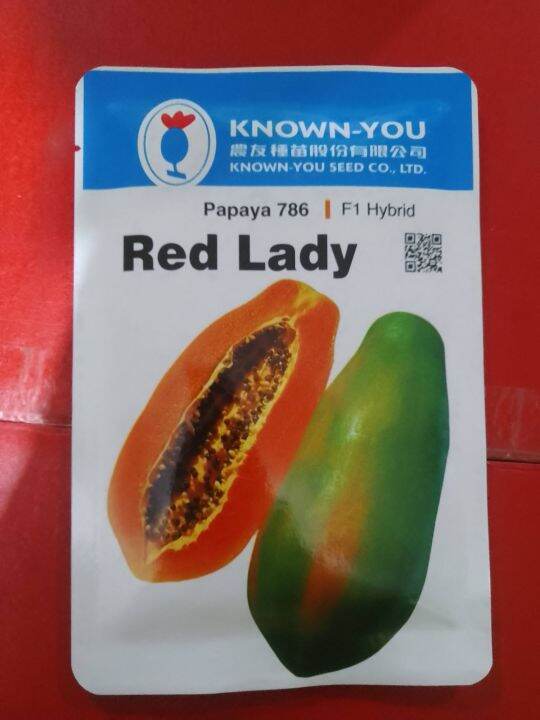 RED LADY F1 HYBRID PAPAYA SEEDS (10 GRAMS APPROX760 SEEDS)BY KNOWN YOU ...