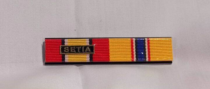 PPA Askar 10 tahun (pin) | Lazada