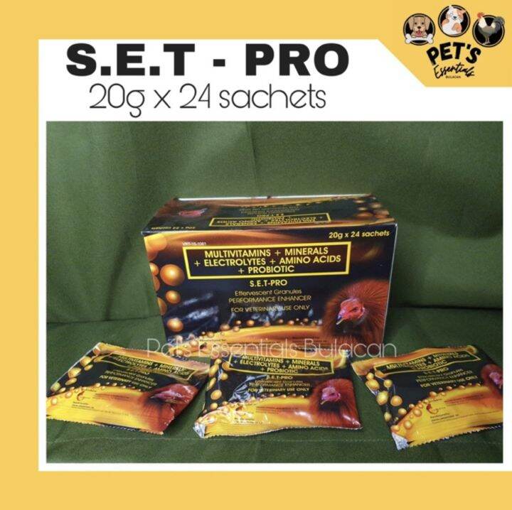 Set Pro 20g x 24 sachets per box | Lazada PH