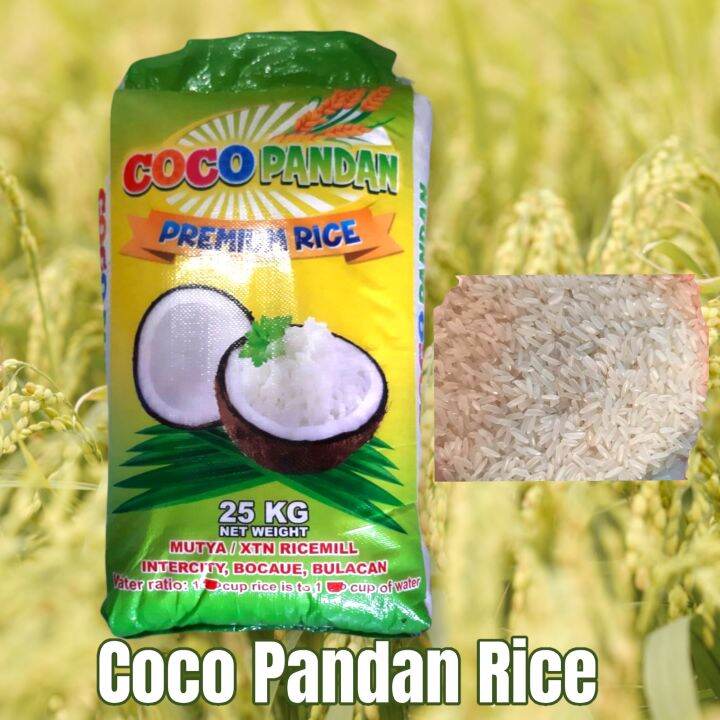 COCO PANDAN SPECIAL RICE 25kgs | Lazada PH