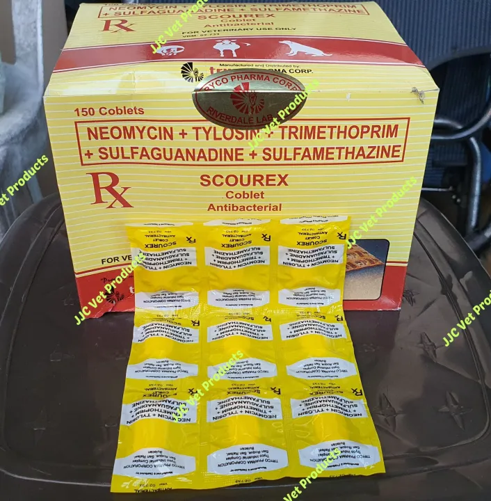 Scourex Coblet 3pcs | Lazada PH