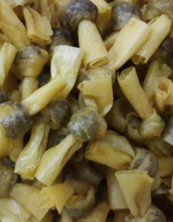 Kuih Popia Simpul Serunding Ayam (200/400g) | Lazada