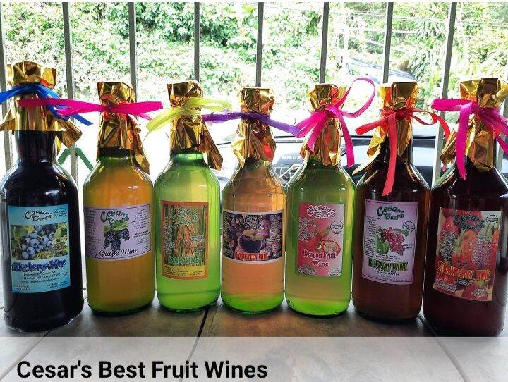 CESARS BEST FRUIT WINES (350 ML) | Lazada PH