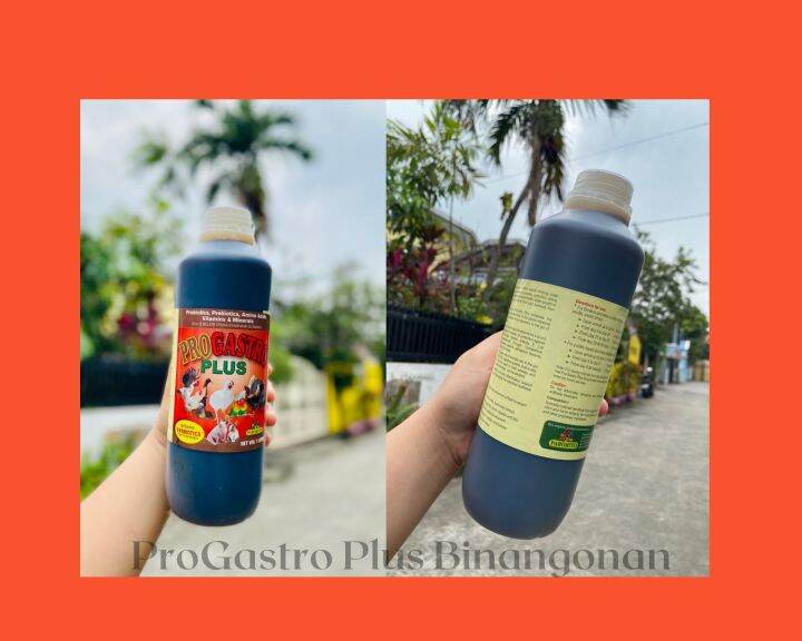 ProGastro Plus | Lazada PH