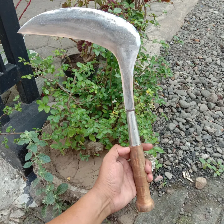 ARIT RUMPUT MULTIFUNGSI | Lazada Indonesia