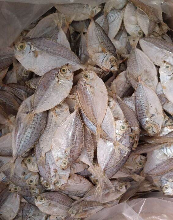 Dried fish Sapsap 250g | Lazada PH