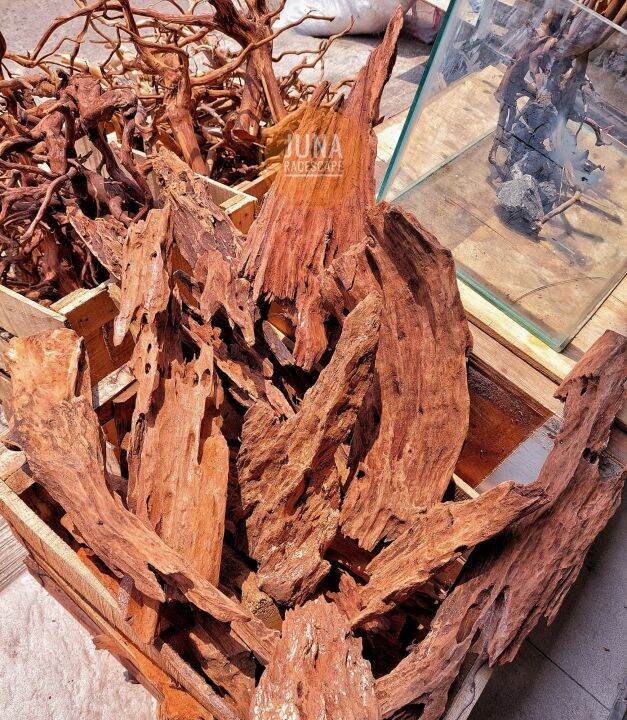 KAYU RENTEK DRIDTWOODS AQUASCAPE AQUARIUM REFTIL | Lazada Indonesia