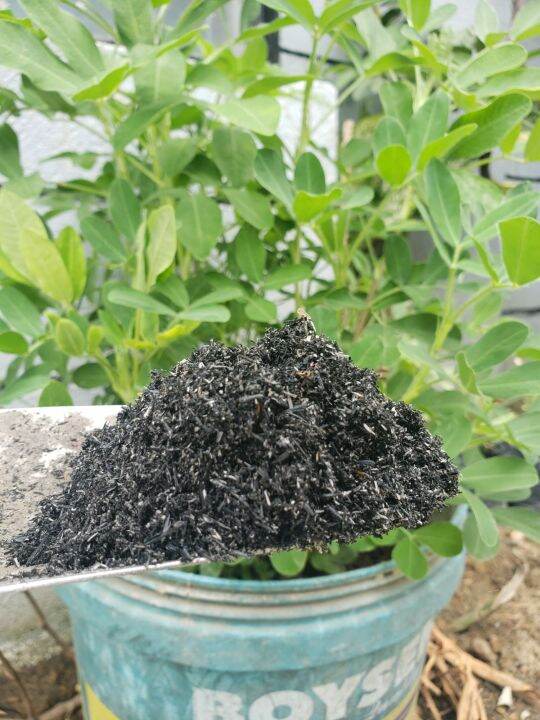 1kg Carbonized Rice Hull (CRH)/ Inuling na Ipa (pure organic) good as ...