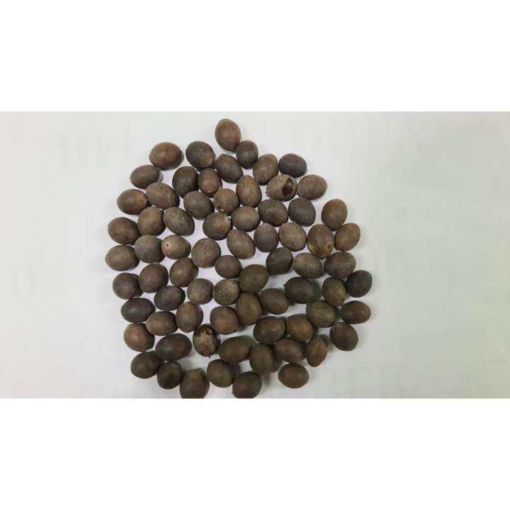 Thamarai Vithai 50g/100g/250g | Lazada