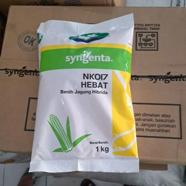 benih jagung hibrida syngenta nk 017 hebat kemasan 1 kg original ...