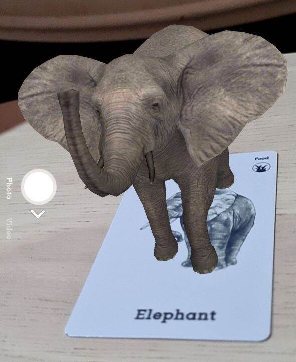 Animal Zoo Octagon 4D Augmented Reality Flashcard For Kids and Toddler ...