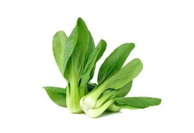 SayurHD Sayur Pakcoy Pak Choy Pak Choi 100 Gram | Lazada Indonesia