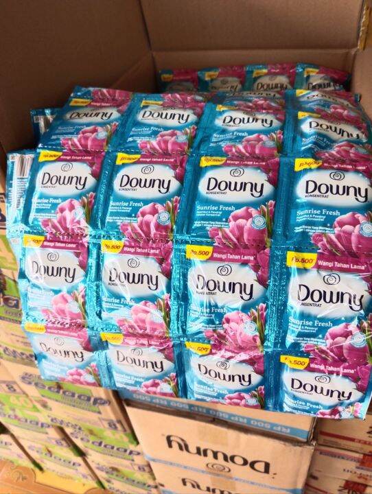 DOWNY Renteng 500 an | Lazada Indonesia