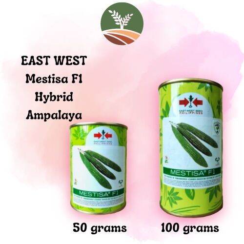MESTISA F1 EAST WEST SEEDS HYBRID AMPALAYA VEGETABLE SEEDS 50g/100g ...