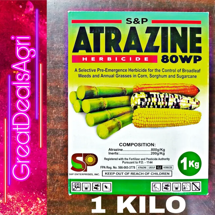 ATRAZINE 80WP HERBICIDE (1 KILO) S&P | Lazada PH