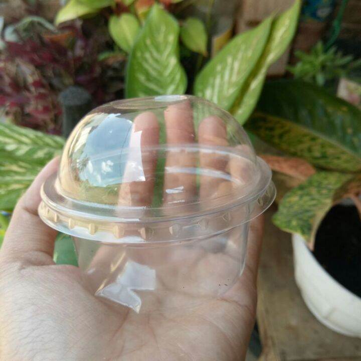 Cup Mika Pudding 10pc | Lazada Indonesia