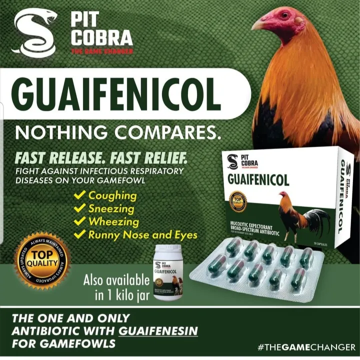 PIT COBRA - GUAIFENICOL | Lazada PH