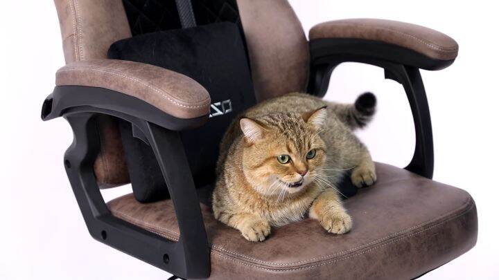 MUSSO Aeolus Series Fabric Leathaire Computer Gaming Chair Waterproof ...