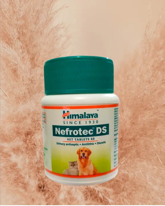 Himalaya Nefrotec DS 60Tabs | Lazada PH