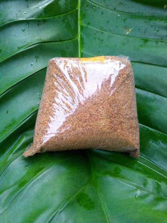 daun talas beneng tanpa campuran 300gr | Lazada Indonesia