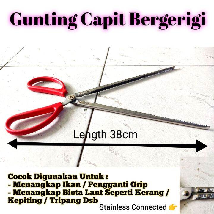 Capit Ikan Kerang Kepiting Belut Gurita Panjang 38cm | Lazada Indonesia