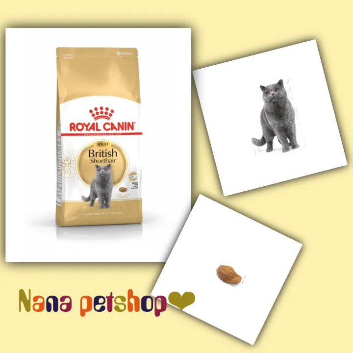 Royal Canin British Shorthair Adult 2 kg อาหารแมวโตพันธุ์ บริติช ชอร์ท ...