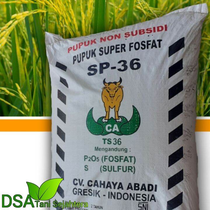 Pupuk TSP/SP-36 1 Kg | Lazada Indonesia