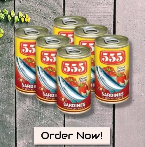 v&s555 sardinas 155g | Lazada PH