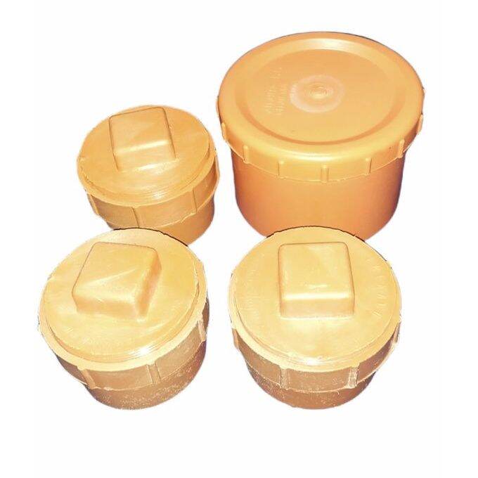 PVC SANITARY CLEAN OUT 4" | Lazada PH
