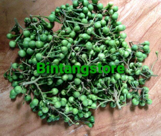 Cepokak buah takokak segar 1 kg murni buah | Lazada Indonesia