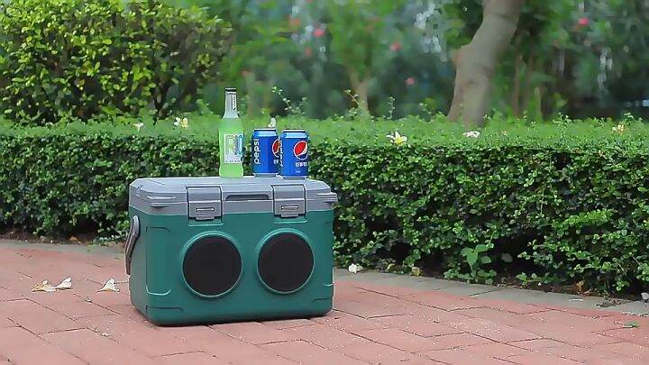 21L Camping Cooler Box With Speaker Travel Picnic Ice Box Cooler ...