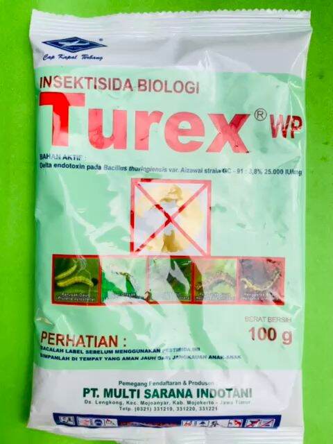 Insektisida Biologi Turex WP untuk ulat kemasan 100gram cap kapal terbang | Lazada Indonesia