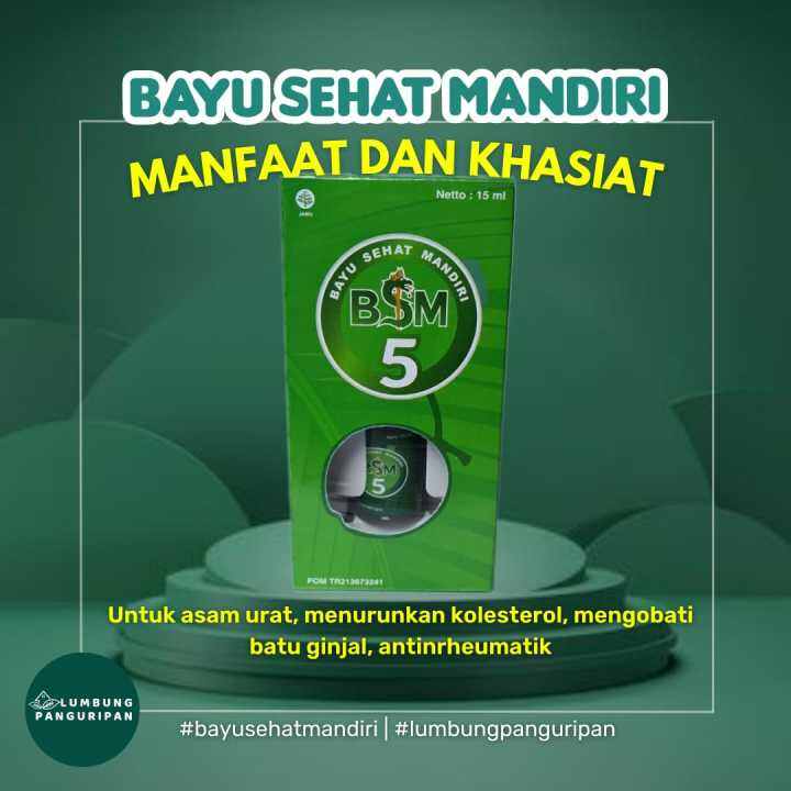 Bayu sehat mandiri BSM 5 | Lazada Indonesia
