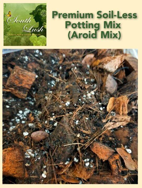 High Quality Soilless Potting Mix (Aroid Mix) 4 Liters | Lazada PH