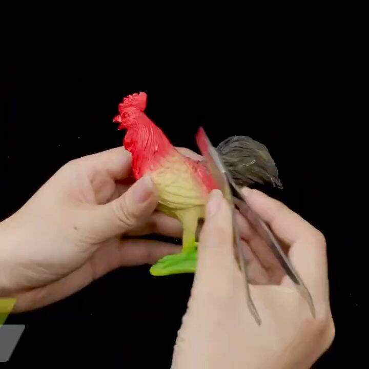 5 in 1 Chicken capon kit Stainless steel Caponizing tools Castration ...