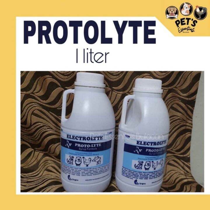 Protolyte (1 Liter) | Lazada PH