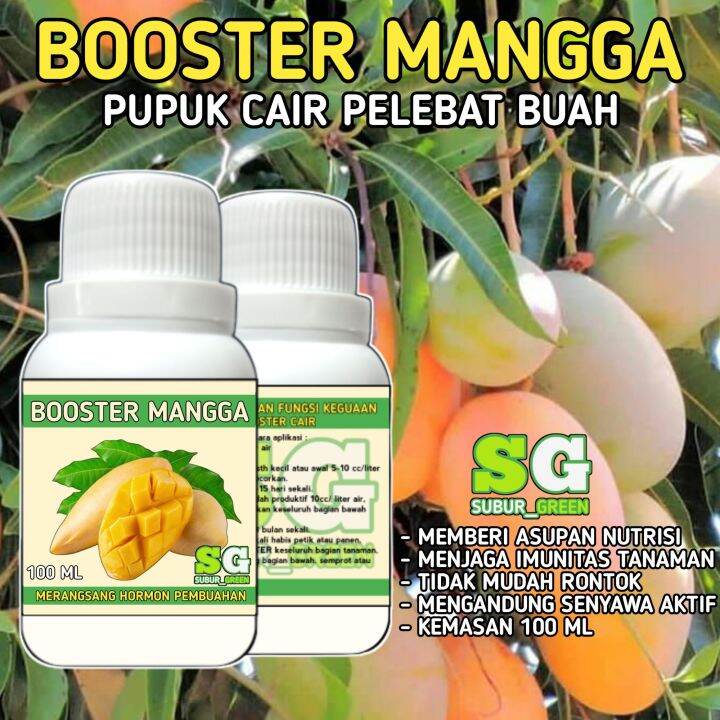 SUBUR GREEN BOOSTER MANGGA pupuk organik pelebat buah mangga memberi nutrisi pada buah dan bunga ...