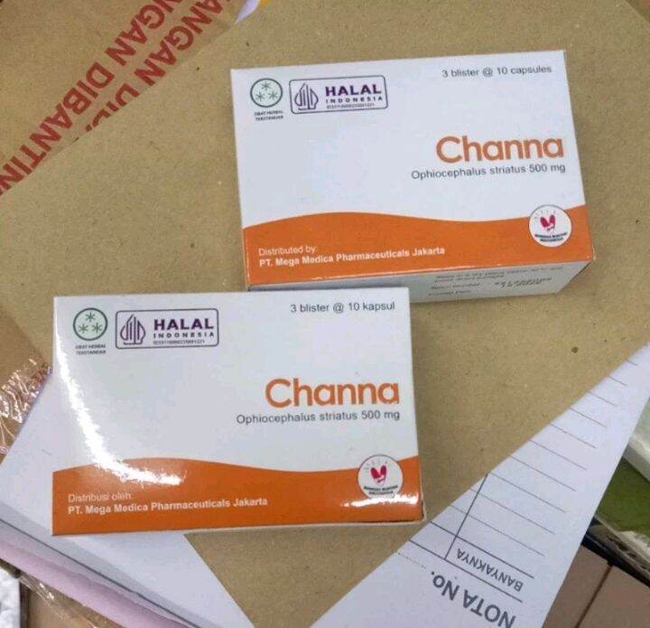 channa kapsul ekstrak ikan gabus per box isi 30 kapsul | Lazada Indonesia