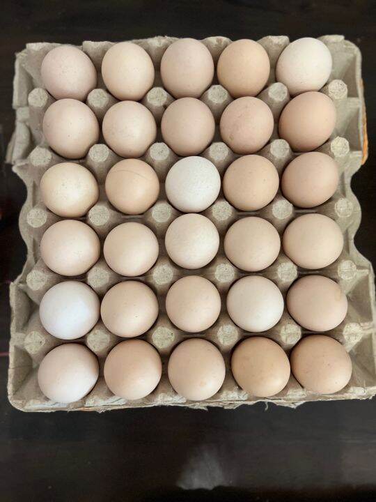 [Klang Valley]马草蛋 Macao Egg Horse Grass Egg 1 tray 30 pc | Lazada